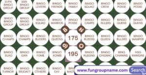 385 Fun Bingo Group Names